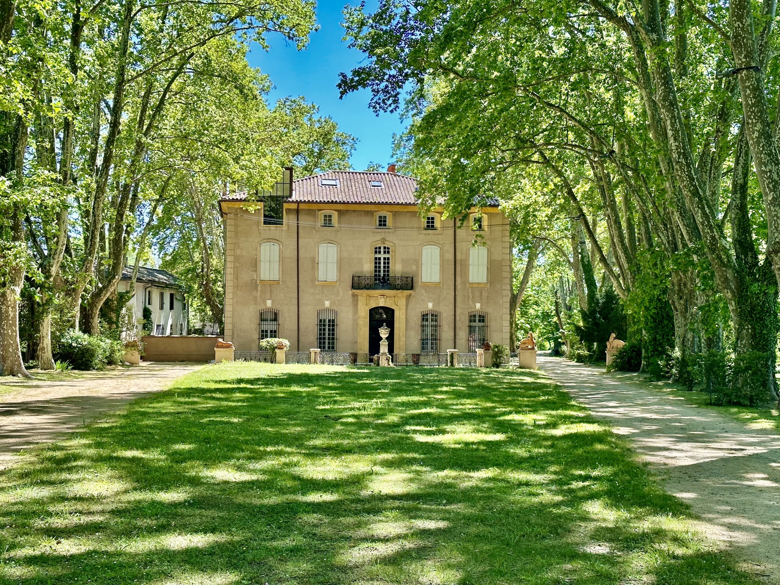 What makes 2025 the year of Cezanne?